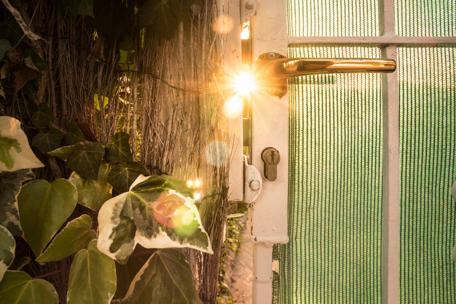 Psychic Development: Creating Your Sacred Psychic Space • Michelle Beltran