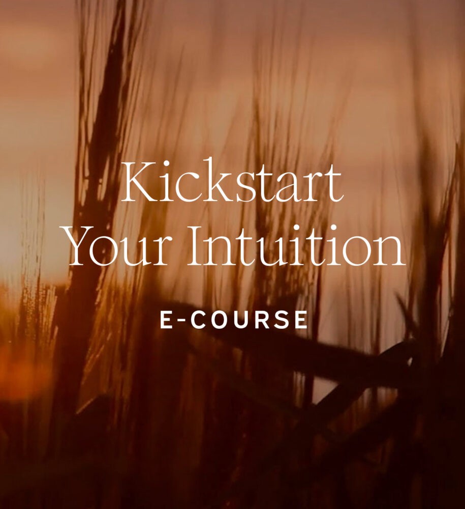 Kick-Start Your Intuition E-Course! • Michelle Beltran